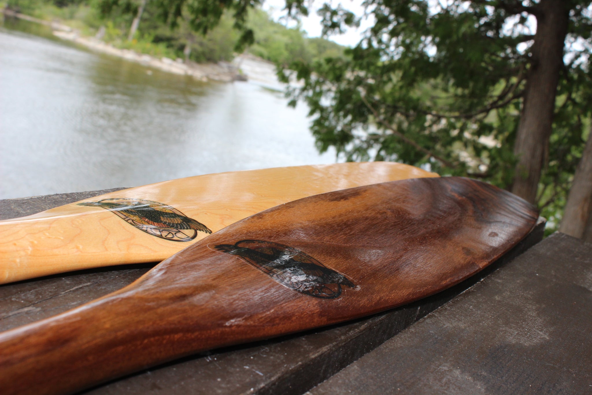 Redtail Paddle Co